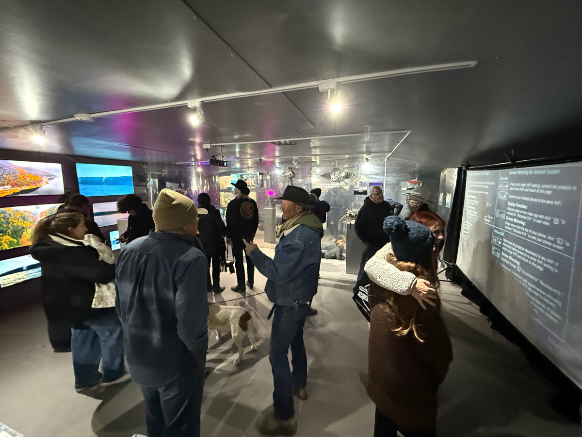 ARM - Alien Robot Museum - Joshua Tree, CA